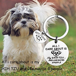 Lywjyb Birdgot Dog Owner Gift Shih Tzu Dog Keychain Dog Mom Gift Shih Tzu Lovers Jewelry Pet Dog Gift Funny Sarcastic Dog Gift (Shih Tzu ky)