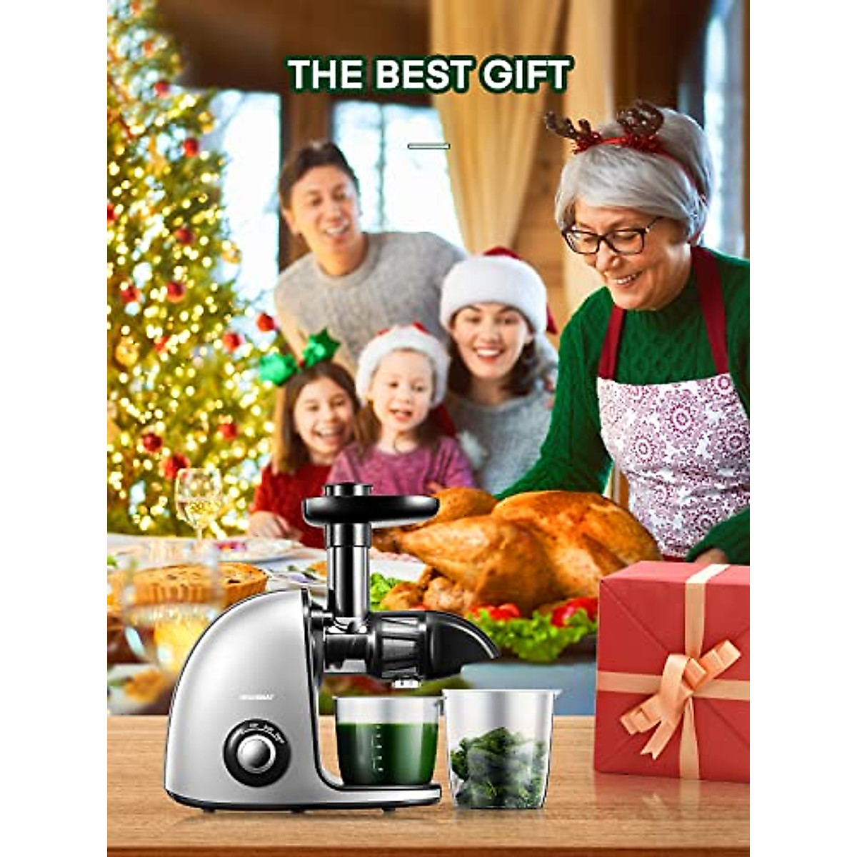 Slow Juicer Machines, HOUSNAT Cold Press Juicer Extractor for Fruits & Vegetables Easy to Clean, 2-Speed Mode with Quiet Motor & Reverse Function, Slow Masticating Juicer with Recipe (Silver Gray)