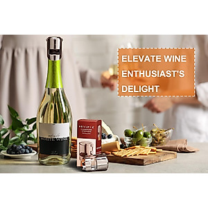 STEETURE 2PCS Champagne Stoppers Stainless Steel, Wine Stopper as Wine Gifts, Leak Proof Wine Bottle Saver Reusable Corks Keep Fresh, Wine Accessories for Prosecco Cava Sparkling Wine