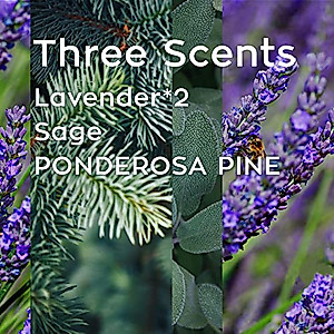 4 Pack Candles for Home Scented, Lavender Candles, 4x6.3 oz 4x50 Hour Long Lasting Aromatherapy Jar Candles Natural Soy Wax Relaxing Candle, Candles Gifts for Women (Lavender *2 &Sage &Jackson)