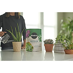 Miracle-Gro Succulent Potting Mix - Fertilized Soil with Premium Nutrition for Indoor Succulents, 4 qt. (2-Pack)