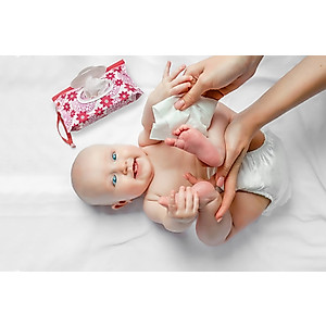 CasenBag Pink Zebra Wet and Dry Diapers Bag with Wet Wipes Cases. (KT-WDCB-002)