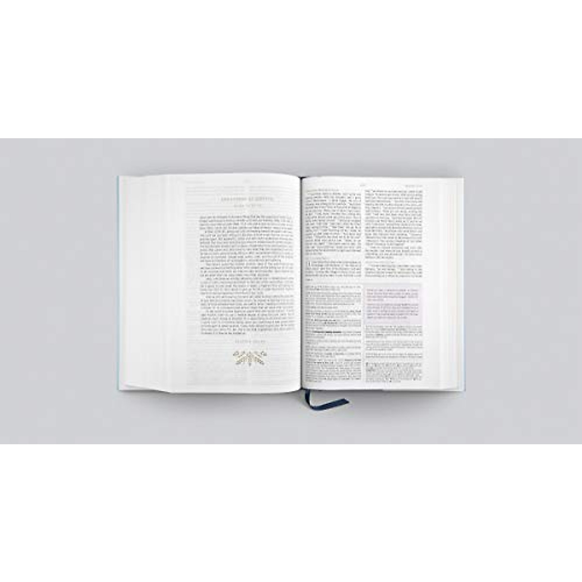 ESV Women's Study Bible (Hardcover)