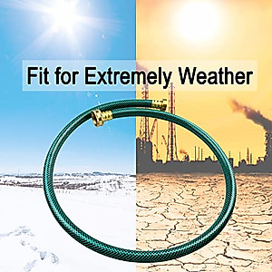 Darnassus PVC Garden Hose 1/2 Inch Green Heavy Duty Water Hose with Solid Brass Fittings,No Leaking, Flexible,for outdoors,Lawns,Patio (20 FT, Green)