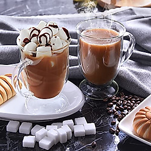 Bivvclaz 2-Pack 16 oz Double Wall Glass Coffee Mugs, Large Insulated Coffee Cups, Clear Borosilicate Glass Mugs, Perfect for Cappuccino, Tea, Latte, Americano, Hot Beverage, Microwave Safe