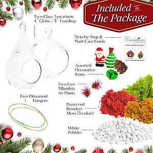 Creations by Nathalie - DIY Holiday Ornaments Terrarium Kit - Live Air Plants - 2 Glass Terrariums, Reindeer Moss, Christmas Figurines, White Stones