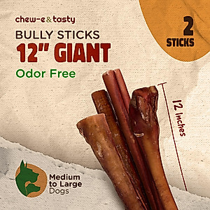 chew-e&tasty 12" Giant Odor Free Bully Sticks (Pack of 2) - Long Lasting Beef Chews for Power Chewers Made of Digestible High Protein & Low Fat Dental Treats Bully Sticks for Large to Very Large Dogs