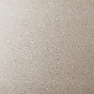 Presto 07055 Cool-Touch Electric Ceramic Griddle, 20", Black