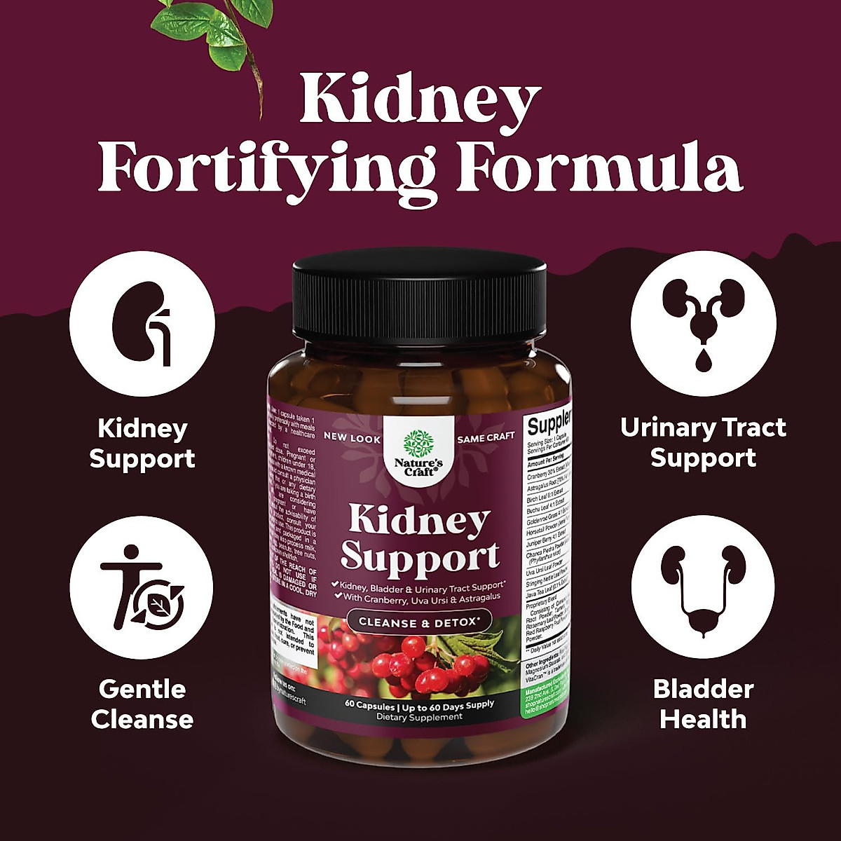 Kidney Support Supplement - High Strength Kidney Cleanse, Detox & Repair Cranberry Extract Capsules with Uva Ursi, Stinging Nettle & Java Tea - Urinary Tract Health & Bladder Cleanse Support - 60 Caps