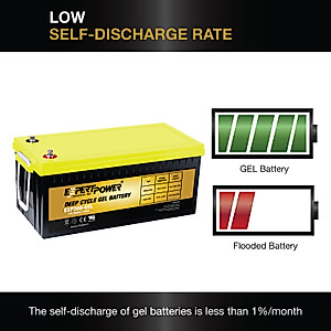 ExpertPower Deep Cycle 12V 200AH VRLA Gel Battery, Service Life Over 2000 Cycles, Maintenance Free, for Solar, RV, Cabin, Shed, Marine and More