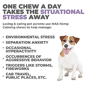 Mighty Petz MAX Hemp Calming Chews for Dogs - Dog Anxiety Relief with Melatonin + Hemp Oil. Dog Calming Treats, Calming Dog Chews, Advanced Pet Composure and Sleep Support