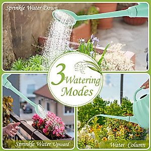 2.5 Gallon Watering Can for Outdoor Plants Bottle for Watering Indoor Outdoor Plants,Modern Plant Watering Can Large Long Spout with Sprinkler Head