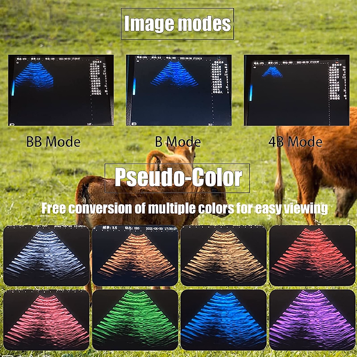 Pregnancy Test Ultrasound Scanner Veterinary Machine Portable B-Ultra Sound Scanner Farm Animals Pregnancy Mechanical Sector ​scanning Probe for Sheep, Pig Pregnancy Test