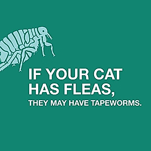 Elanco Tapeworm Dewormer (praziquantel tablets) for Cats and Kittens 6 Weeks and Older, 3-count