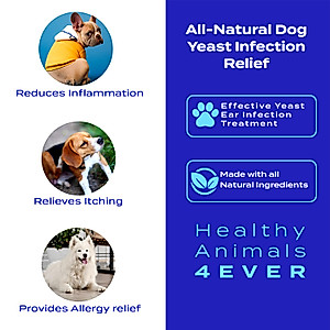 HealthyAnimals4Ever All-Natural Yeast Protection for Dogs - Effective Homeopathic Support for Yeast Infections - Preventive Care for Skin and Ear Health - 300 Dog Yeast Defense Tablets