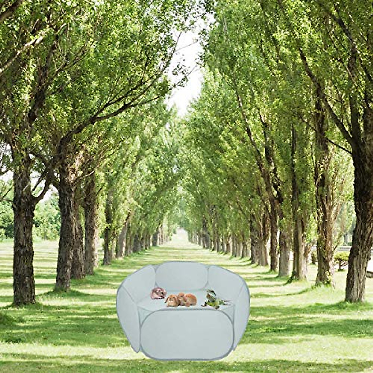 GABraden Small Animal Cage Tent Playpen with Fabric,Reptiles Cage,Breathable Transparent Pet Playpen Pop Open Outdoor/Indoor Exercise Fence,Portable Yard Fence (Solid-Grey)