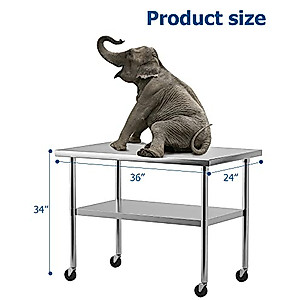 RIEDHOFF Stainless Steel Work Table 36" x 24" with Undershelf & Caster Wheels, [NSF Certified][Heavy Duty] Commercial Kitchen Prep Table for Home, Restaurant, Hotel