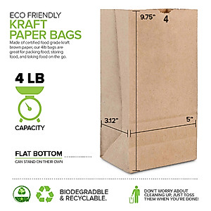 Stock Your Home 4 Lb Kraft Brown Paper Lunch Bags (100 Count) - Bulk Disposable Lunch Sacks, Small Size Blank Bag for Kids, Good for a Snack, Sandwich, Grocery Food, and Arts & Crafts Projects