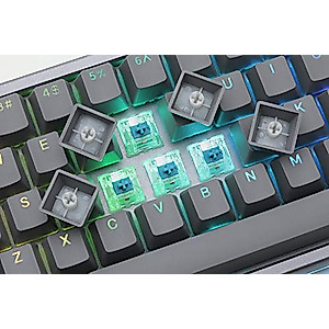 DROP ALT High-Profile Mechanical Keyboard — 65% (67 Key) Gaming Keyboard, Hot-Swap Switches, Programmable Macros, Backlit RGB LED, USB-C, Doubleshot PBT, Aluminum Frame (Kaihua Speed Silver, Gray)