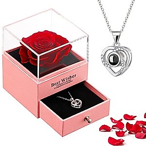 Preserved Red Real Rose with I Love You Necklace in 100 Languages, Eternal Enchanted Rose Flower Gifts for Women Mom Wife Girlfriend Valentines Day Anniversary Mothers Day Birthday Gifts for Her