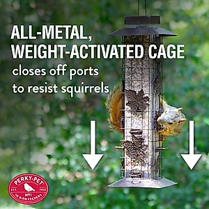 Perky-Pet 336-1SR Squirrel-Be-Gone Bird Feeder, 2LB Squirrel Proof Outdoor Wild Bird Feeder with Weight-Activated Perches