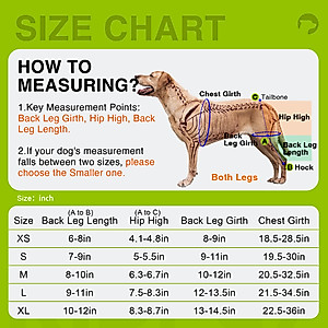 KISFLY Rear Leg Braces for Dogs Luxating Patella Joint Pain Dog Knee Brace for Torn ACL Hind Leg with Reflective Support Strip Both Legs L