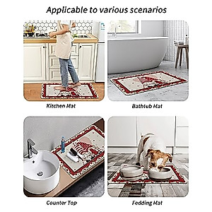 Valentine's Gnomes Bath Mat for Tub,Non Slip Bathroom Floor Runner Rug Quick Dry & Absorbent Diatomaceous Earth Kitchen Room Shower Sink Washable Doormat,Saint Love Heart Red Rose Floral 16"x24"