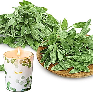 8 Pack Sage Candles for Home Scented, Soy Wax Candle Sage Aromatherapy Candle Fragrance Jar Candles for Cleansing House Negative Energy, Meditation, Smudge