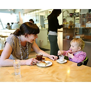 Mountain Buggy Pod Clip-On Highchair, Flint