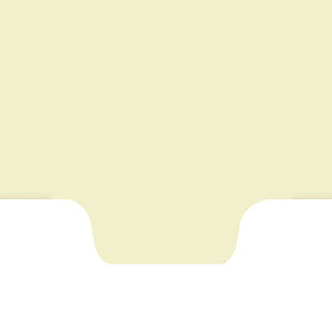 Individual Chart Divider Sheets Used to Build Chart Divider Sets for Medical Practices, 1/6th Cut, Tabs on Bottom, Position: #6, Blank (Pack of 100)