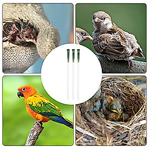 POPETPOP 3pcs Young Birds Feeding Syringe Plastic and Perspex Material for Feeding Milk for Young Birds or Feeding Medicine for Sick Birds