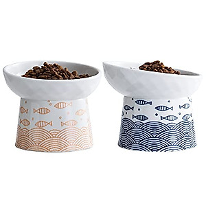 Ceramic Raised Cat Bowls, Elevated Tilted Cat Food and Water Bowls Set, Porcelain Stress Free Pet Feeder Dish for Cats and Small Dogs, Dishwasher and Microwave Safe, Set of 2