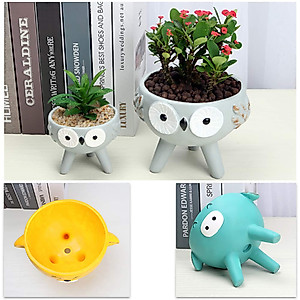 Hemoton 1pc Container Holder owl Succulent pots Succulent Flower Pot Ceramic Bonsai Planter Animal Plant Pot Ceramic Flower pots Ceramic Succulent Planter Flowers Flower Container