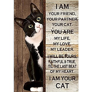 Black Cat Sign I Am Your Friend Your Partner Your Cat You are My Life Home Wall Decoration Metal Plaques 12X8 inch