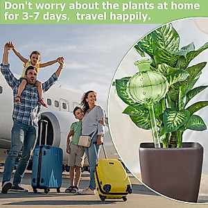 Sawowkuya 4 Pcs Plant Watering Globes, Cactus Self Watering Planter Insert，Glass Plant Watering Devices for Indoor and Outdoor Plants Accessories