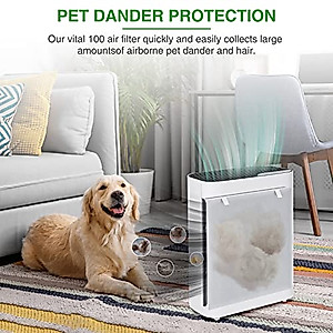 2 Pack Vital 100 True HEPA Replacement Filter Compatible with LEVOIT Vital 100 Air Purifier, 3-in-1 H13 Ture HEPA and High-Efficiency Activated Carbon Filters, Replace Part # Vital 100-RF