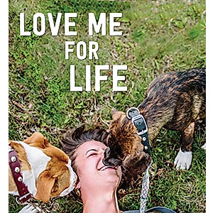 I and love and you Good Golly Beef Gullet Sticks - Grain Free Dog Chews, 100% Beef Gullet, 48 Pack of 6-Inch Sticks