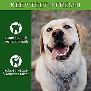 Pet Factory Real Chewz Piggy Bites Dog Chew Treats, 100% All-Natural - 16 oz