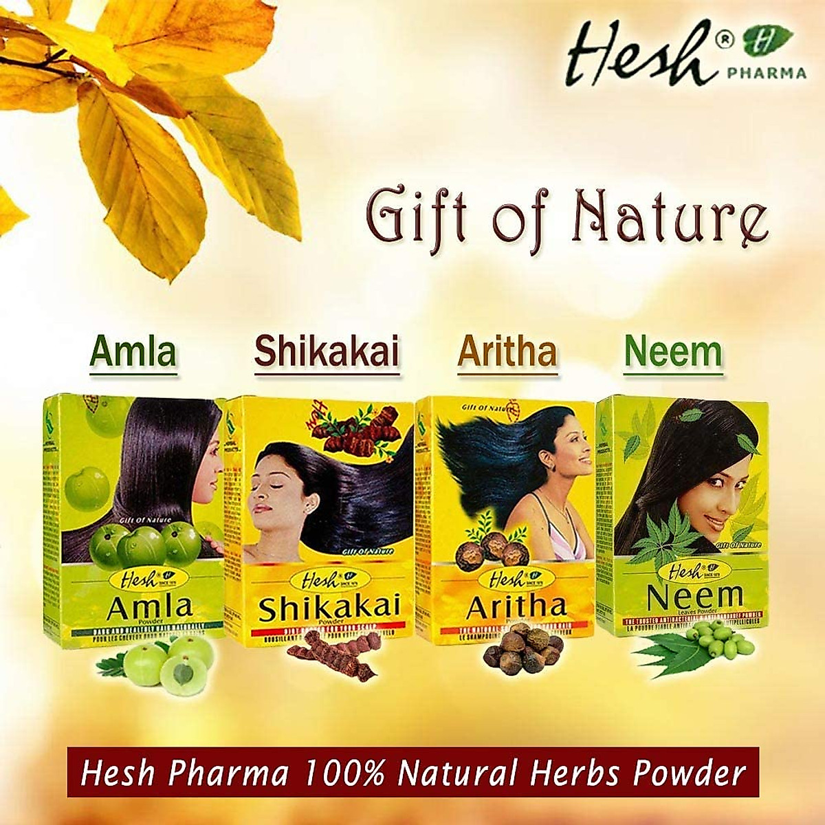 Hesh Herbal Amla Powder 100G, Brahmi Powder 100G, Shikakai Powder 100G, Aritha Powder 100G - 1 Complete Hair Care Combo Pack