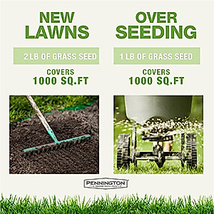 Pennington Bermuda Grass Seed - 5 lb