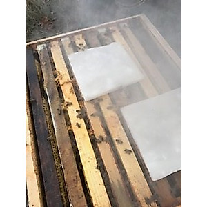 Priddy Acres Sweet B - Simple Bee Fondant (Lemongrass)