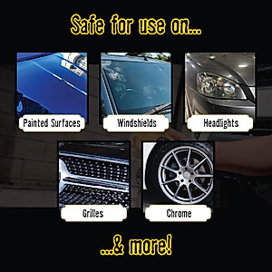 Chemical Guys CWS_104_16 Concentrated Bug and Tar Remover Car Wash Soap (Works with Foam Cannons, Foam Guns or Bucket Washes) Safe for Cars, Trucks, Motorcycles, RVs & More, 16 fl. Oz