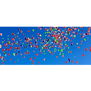 100pcs 12 Inch Colorful Premium Latex Wedding Party Birthday Balloon Lot (Brown)