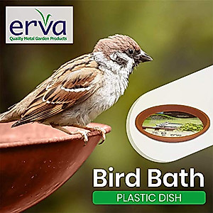 Erva D14CL 14 in. dia. Bird Bath Plastic Dish; Terra Cotta