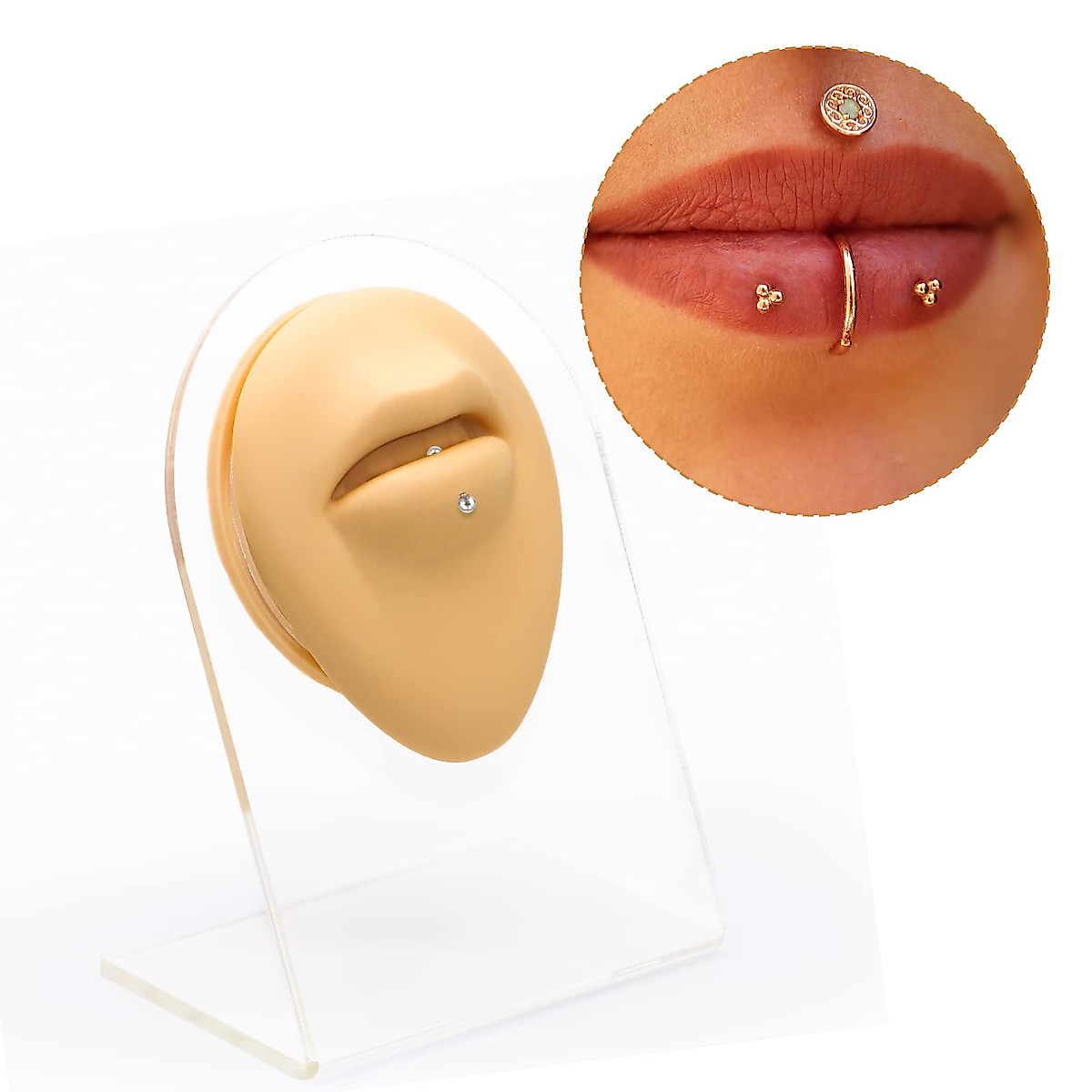 Gonryun Body Piercing Practice Kits, Mouth Soft Silicone Model, Suture Practice, Jewelry Display