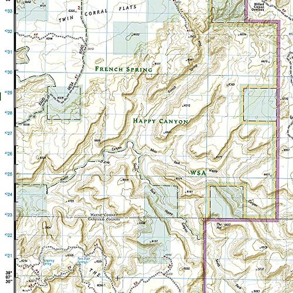 Canyonlands National Park (National Geographic Trails Illustrated Map) (National Geographic Trails Illustrated Map, 210)
