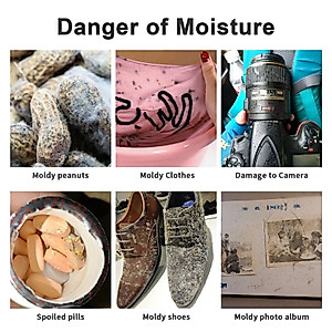 Silica Gel Packs - 80Pcs 20Gram Moisture Absorbers, Premium Transparent Desiccant for Storage, Silica Gel Desiccant Packets Food Safe for Moisture