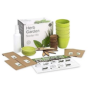 Waste Not Dots Herb Garden Starter Kit - Grow Your Own Herbs - Great Gift - Fresh Kitchen Herbs - Mint, Basil, Cilantro, Parsley, Chives, Pots, and Plant Markers - Housewarming Gift
