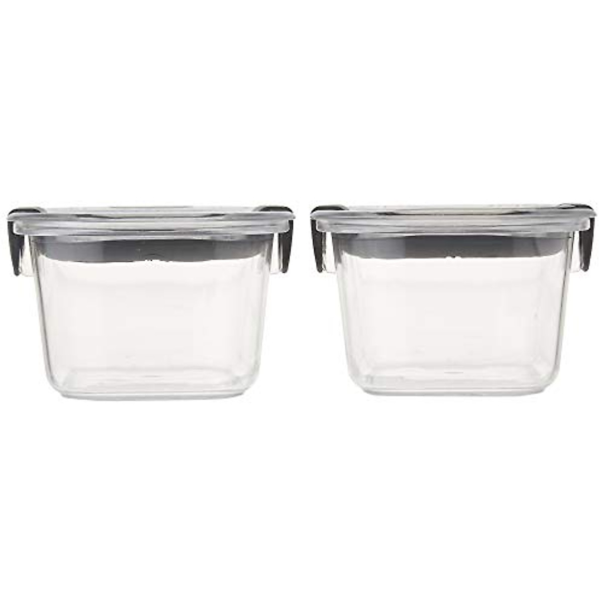 Rubbermaid Brilliance Food Storage Container, Small, 1.3 Cup, Clear, 2-Pack