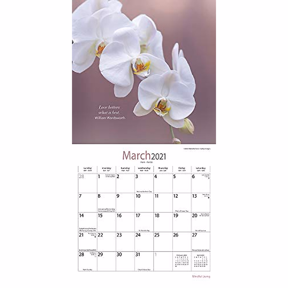 Mindful Living 2021 Calendar: Brush Dance